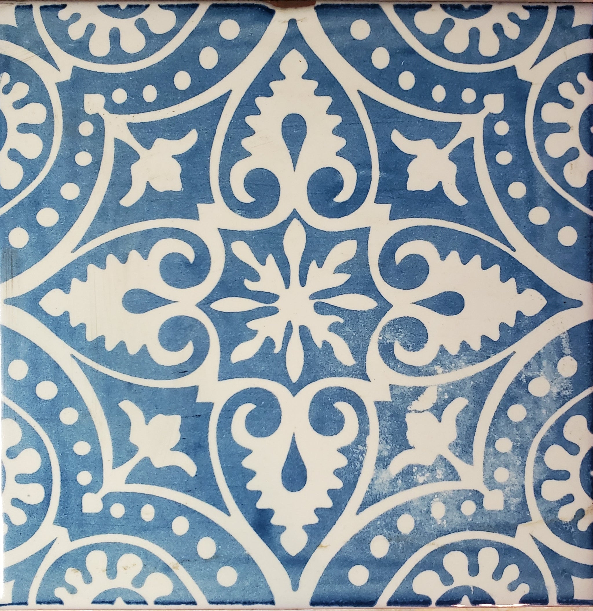 Dantel Modern Deco Pool Tile 6x6 – Shop Ceramic Concepts