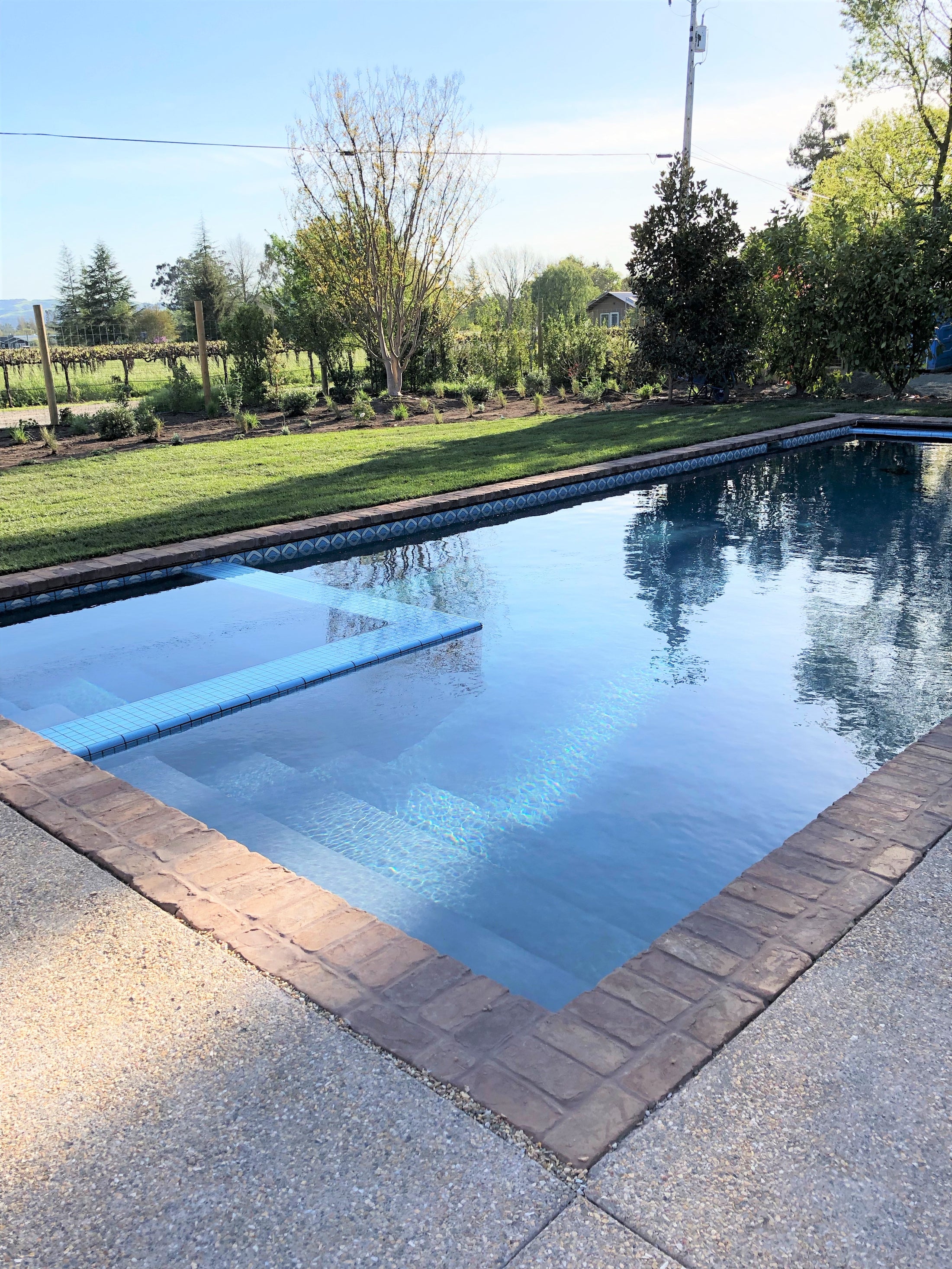 Arches Modern Deco Pool Tile 6x6 – Shop Ceramic Concepts